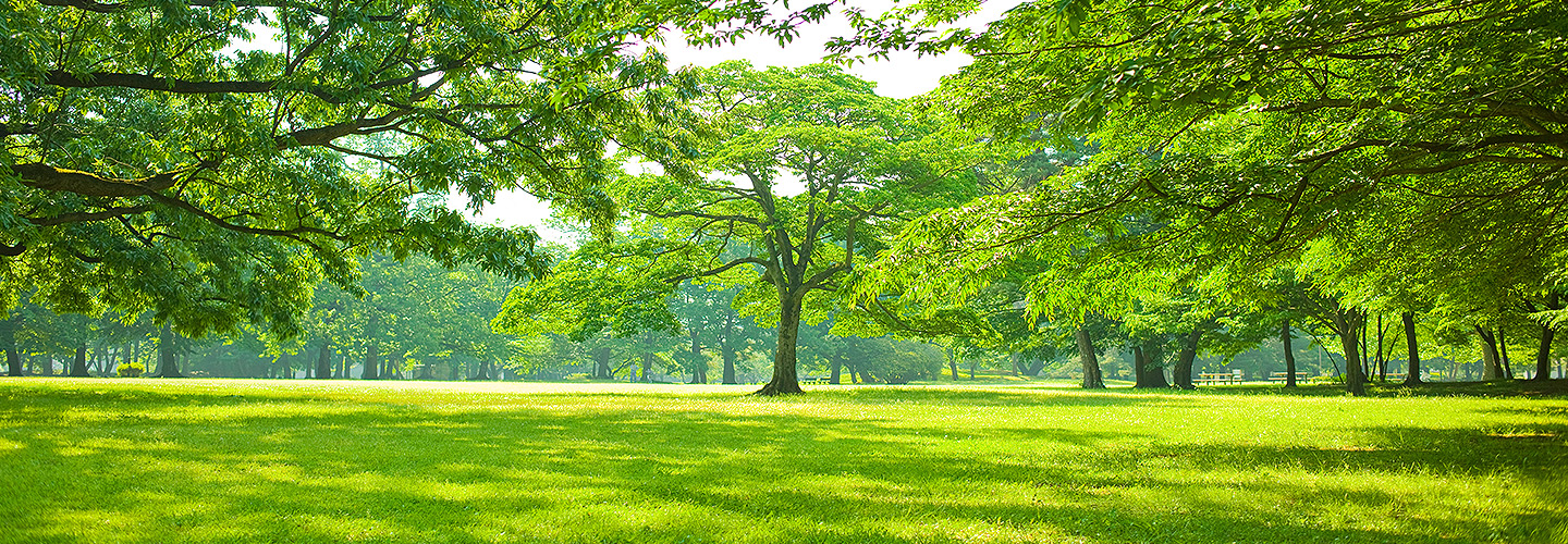 Leadership | Your Landscape Partner | Landscape Services, Inc.